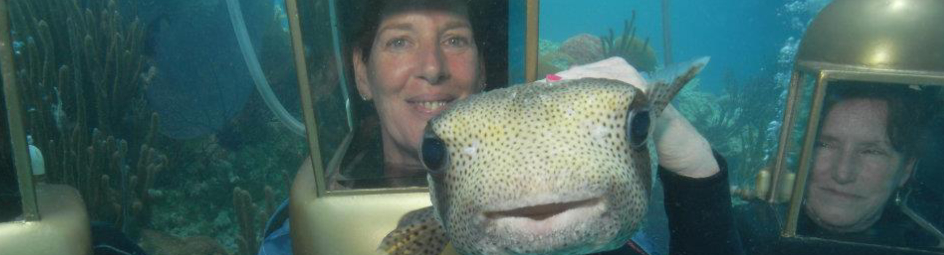 Hartley's Helmet Diving - Island Tour Centre Bermuda